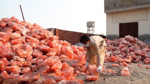 The Environmental Impact of Himalayan Salt Harvesting: Facts and Myths ...